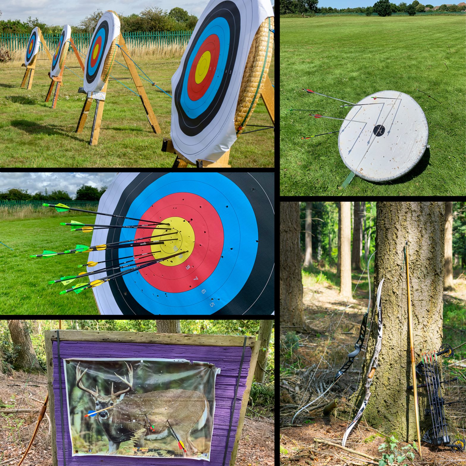 Newbury and Thatcham Archers – A target, field and clout archery club ...